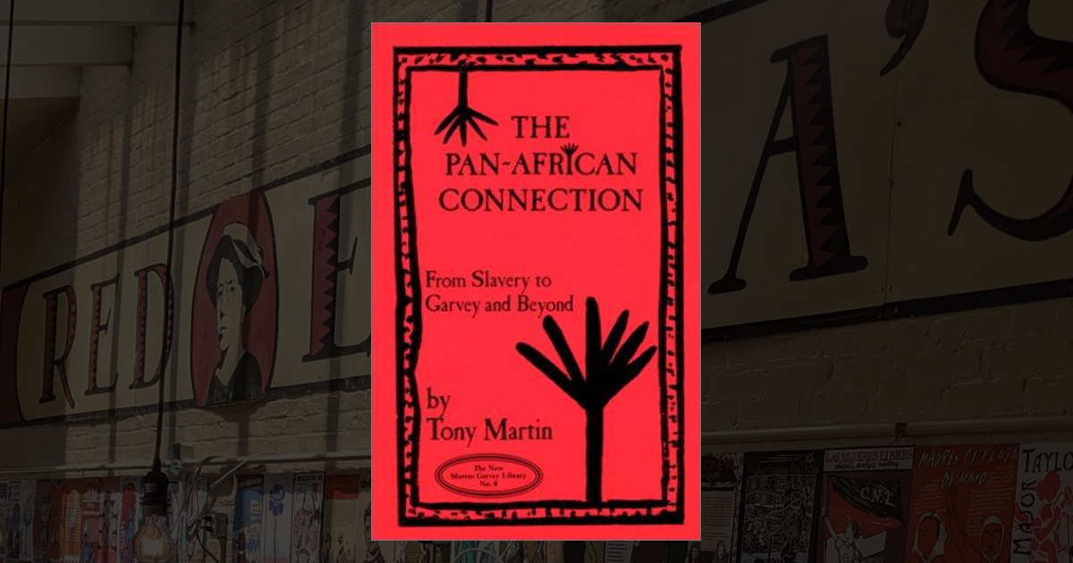 The Pan-African Connection: From Slavery to Garvey and Beyond